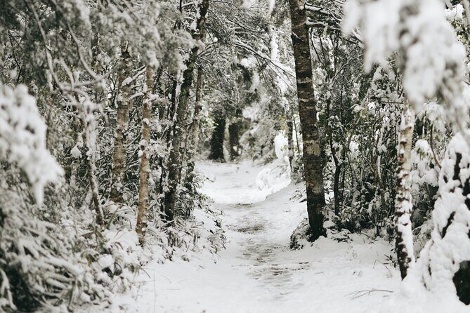 Tongariro National Park Northern Explorer Train and Snowshoeing - FAQ