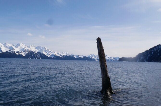 Tonsina Beach Hike with Seward Guided Hikes - Who Should Consider This Tour?