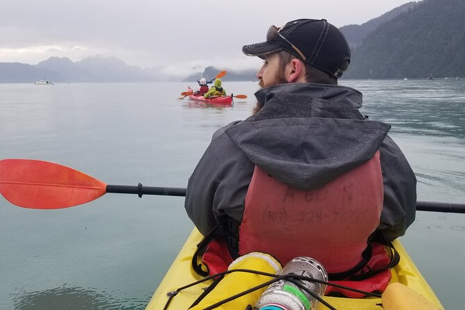 Tonsina Point Kayak in Resurrection Bay - Scenic Views of Resurrection Bay