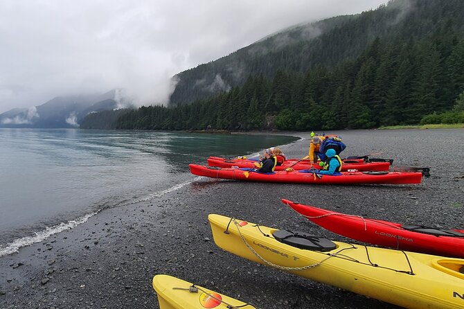Tonsina Point Kayak in Resurrection Bay - Pricing and Booking Details