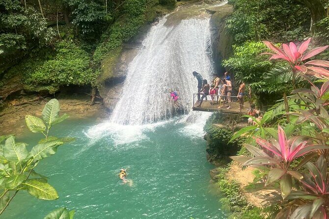 Top 4 Ocho Rios attractions from Ocho Rios Falmouth & Montego Bay - Transportation & Logistics: Moving in Comfort