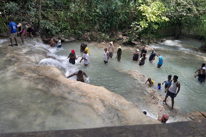 Top 4 Ocho Rios attractions from Ocho Rios Falmouth & Montego Bay - River Adventures: Tubing or Bamboo Rafting