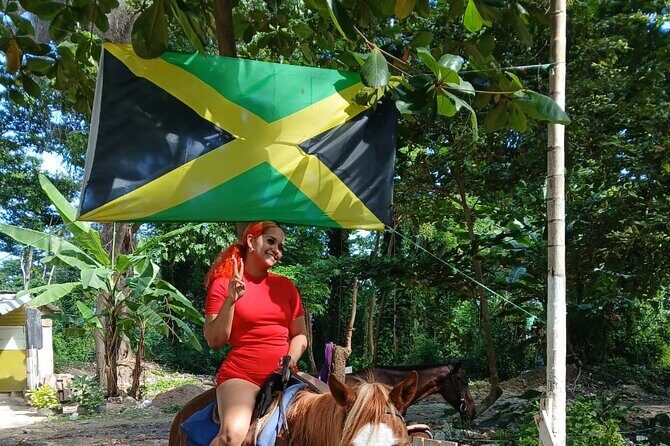 Top 4 Ocho Rios attractions from Ocho Rios Falmouth & Montego Bay - Is It Worth the Price?