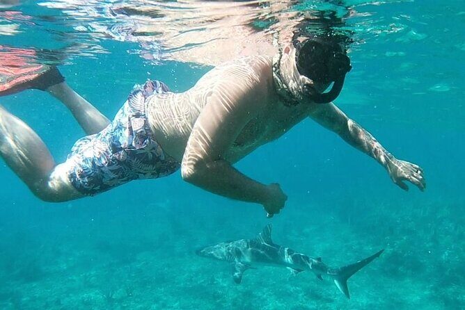 Top 4 Snorkeling Adventures in Bimini - The Practical Side: What to Expect