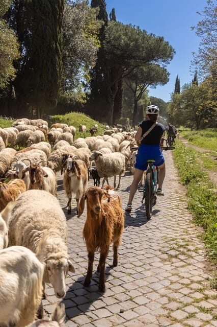 Top Electric MTB Adventure on Appian Way & Aqueducts, (26km) - Who Should Consider This Tour?