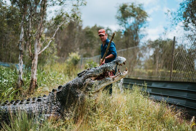 Top End Safari Camp Day Tour - FAQ