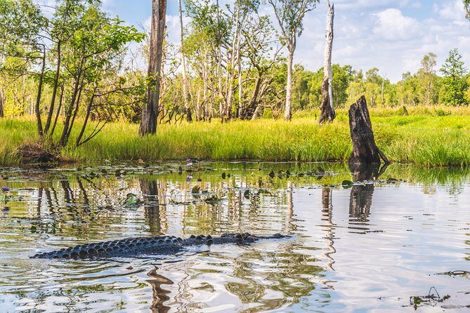 Top End Safari Camp Overnight Tour - The Sum Up