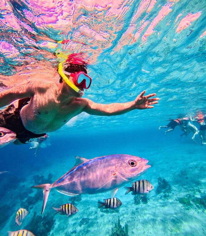 Top Experience: Snorkel & Beach Club All Inclusive / Open Bar & Lunch - Key Points