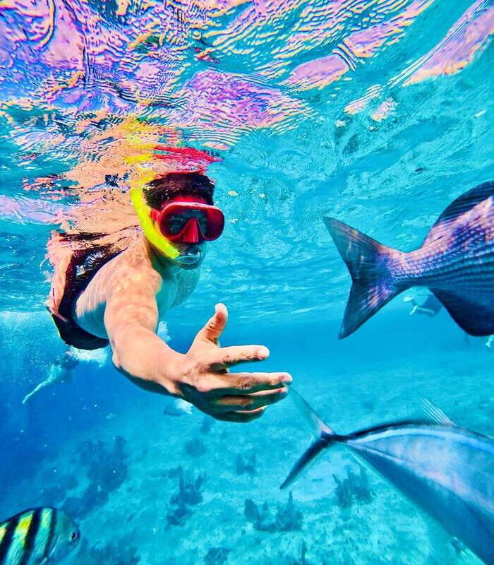 Top Experience: Snorkel & Beach Club All Inclusive / Open Bar & Lunch - The Bottom Line