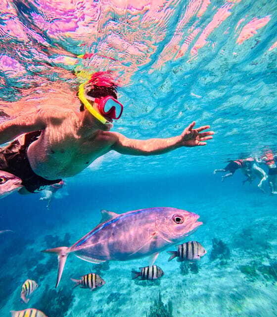 Top Experience: Snorkel & Beach Club All Inclusive / Open Bar & Lunch - FAQ