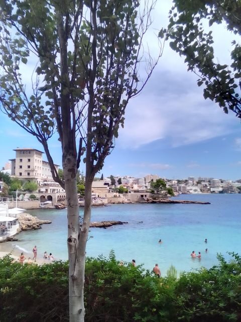 Top Malta Tour (Town, Bazaar, History, Culture, Nature, Sea) - An In-Depth Look at the Top Malta Tour