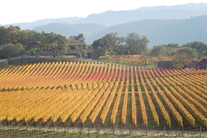Top Notch Napa Valley Private Custom Tour - FAQ