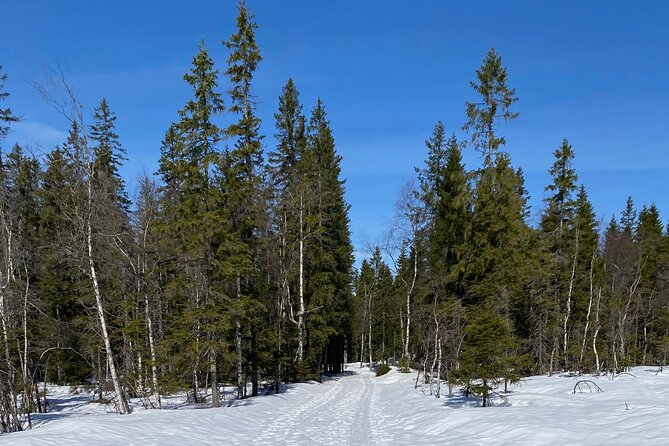 Top of Oslo Snowshoe Tour - Practical Tips for Your Snowshoeing Adventure