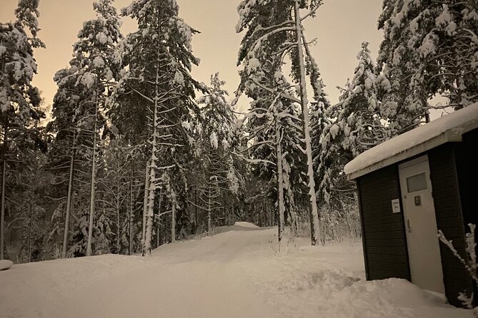 Top of Oslo Snowshoe Tour - Who Will Love This Tour?