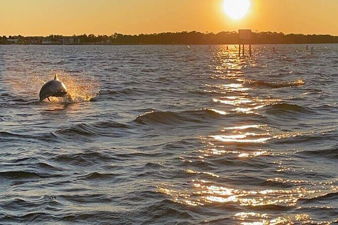 Top Shelf Tikis- Sunset Cruise 1.5hr - A Detailed Look at the Top Shelf Tikis Sunset Cruise in Destin