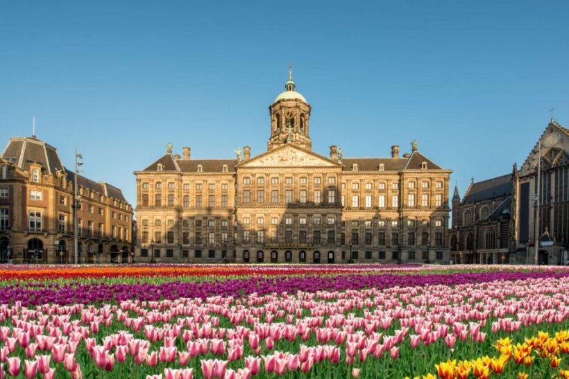 Top Skydeck Fast-Track Tickets, Amsterdam Viewpoint Tour - Discovering Amsterdam from the Sky