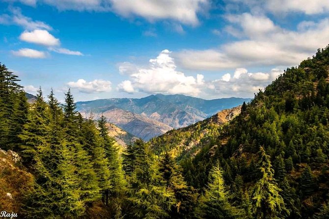 Top Tibba Trek - Mussoorie - The Sum Up: Why This Trek Makes Sense