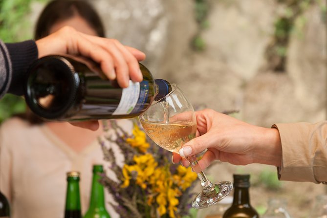 TOP TRUFFLES & WINE - Hunting & Tasting in Istria, Slovenia - Authenticity and Value