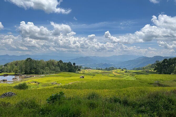 Toraja Highlight 3 Days - What Makes This Tour Stand Out