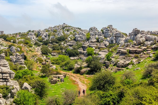 Torcal De Antequera Hiking Tour From Málaga - Guide Expertise and Insights