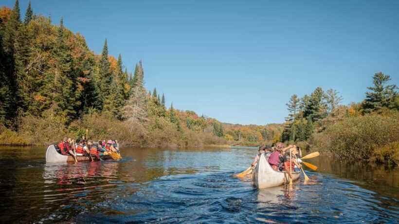 Toronto: Algonquin Park and Ragged Falls Day Trip - Key Points