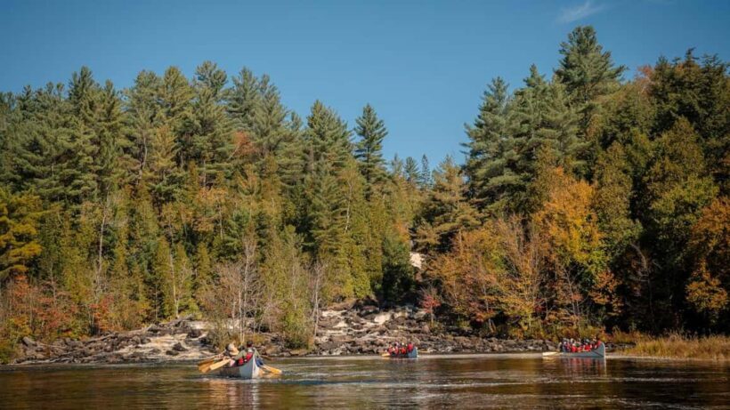 Toronto: Algonquin Park and Ragged Falls Day Trip - Who Should Consider This Tour?