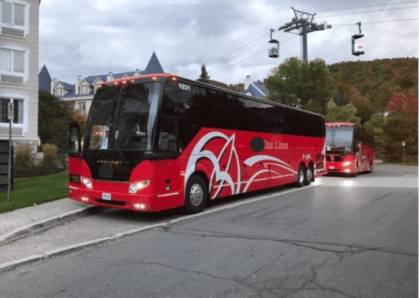 Toronto and Niagara Falls: Full-Day City and Nature Tour - Who Should Consider This Tour?