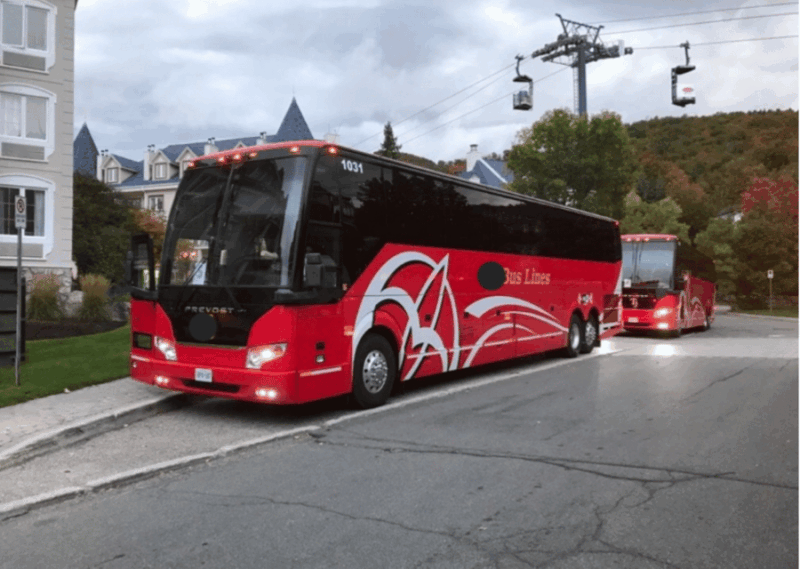 Toronto and Niagara Falls: Full-Day City and Nature Tour - Authenticity and Traveler Feedback