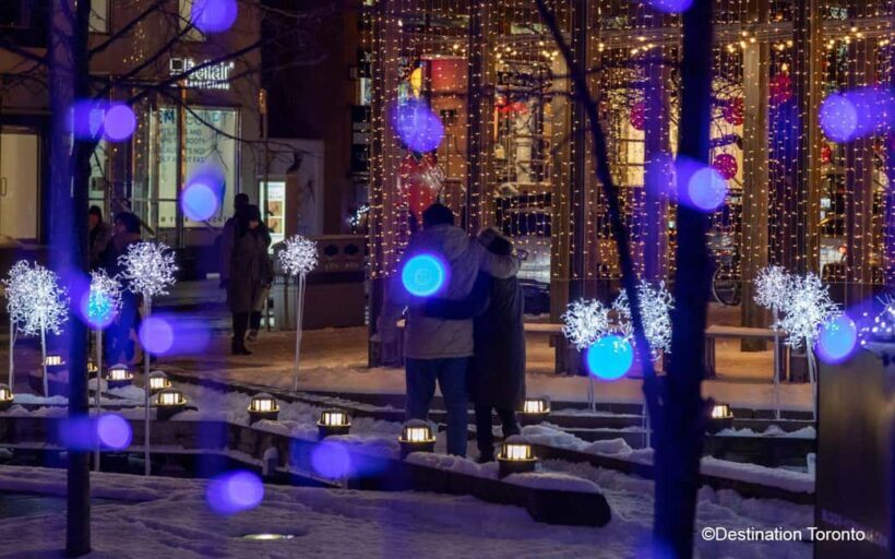 Toronto: Festive Lights Bus Tour - What to Expect from the Toronto Festive Lights Bus Tour