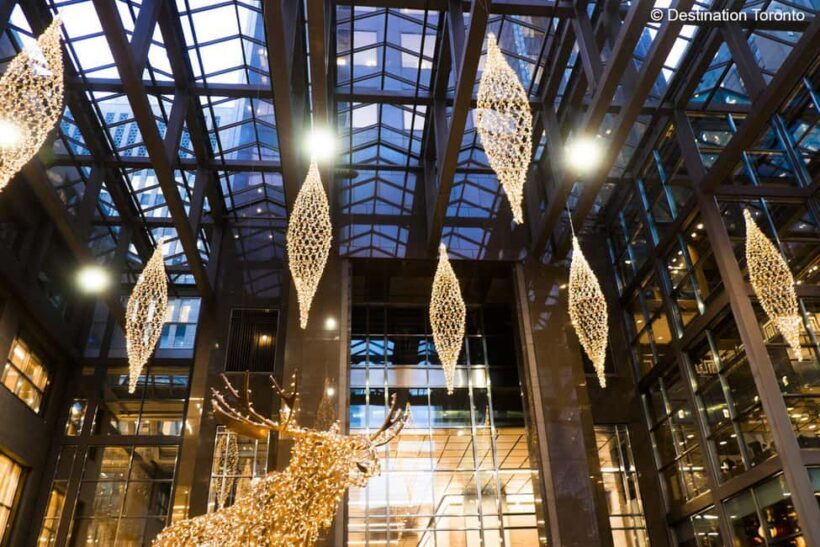 Toronto: Festive Lights Bus Tour - Authentic Traveler Insights