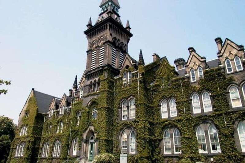 Toronto: Guided Walking Tour of Must-See Attractions - Real Traveler Feedback