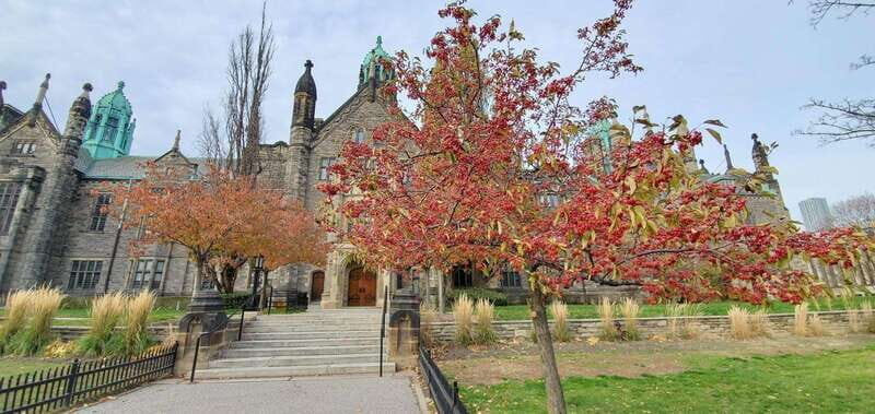 Toronto: Highlights Drive and Walking Tour - Who Will Love This Tour?