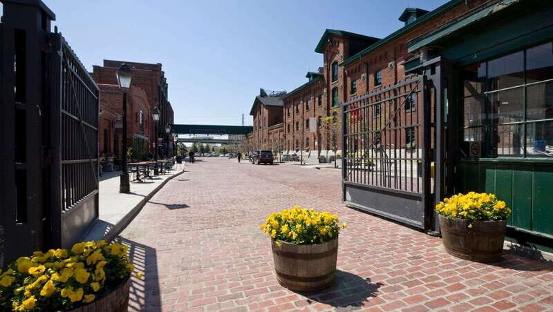 Toronto: Highlights & Hidden Gems Private Tour With a Local - What Makes This Tour Stand Out?