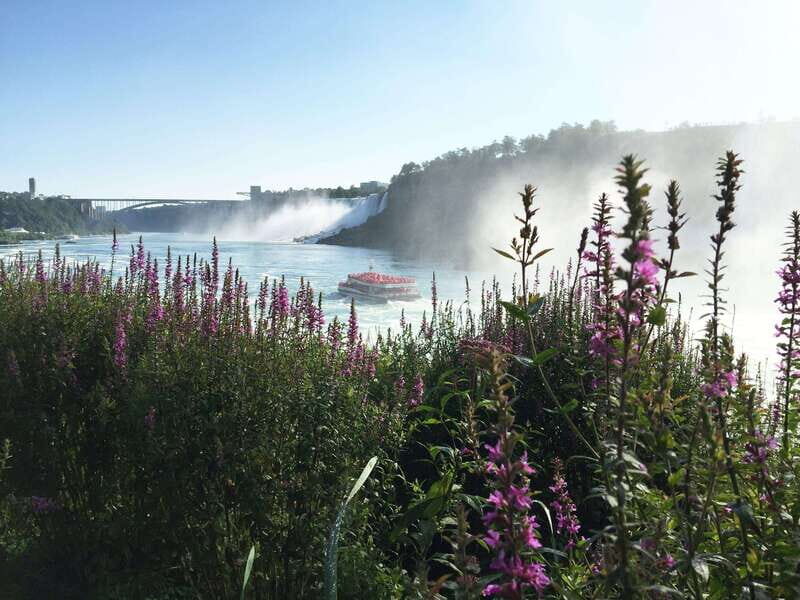 Toronto: Niagara Falls Day Tour with Hornblower Cruise - What the Reviews Tell Us