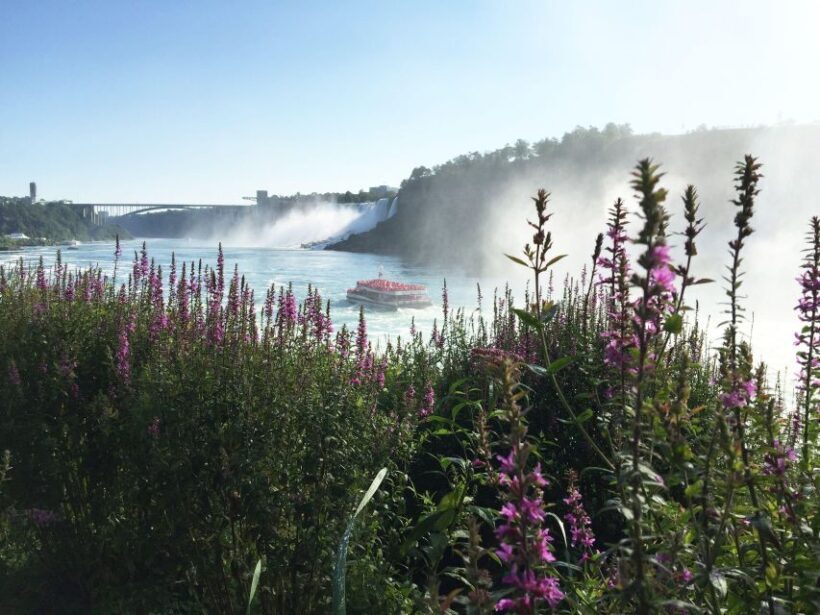 Toronto: Niagara Falls Guided Day Tour, Boat & Skylon Tower - Final Thoughts