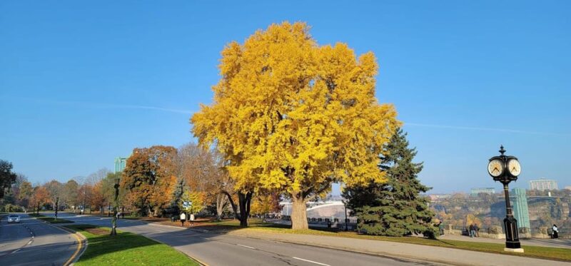 Toronto: Niagara Falls Guided Tour with Winery Stop - Final Word