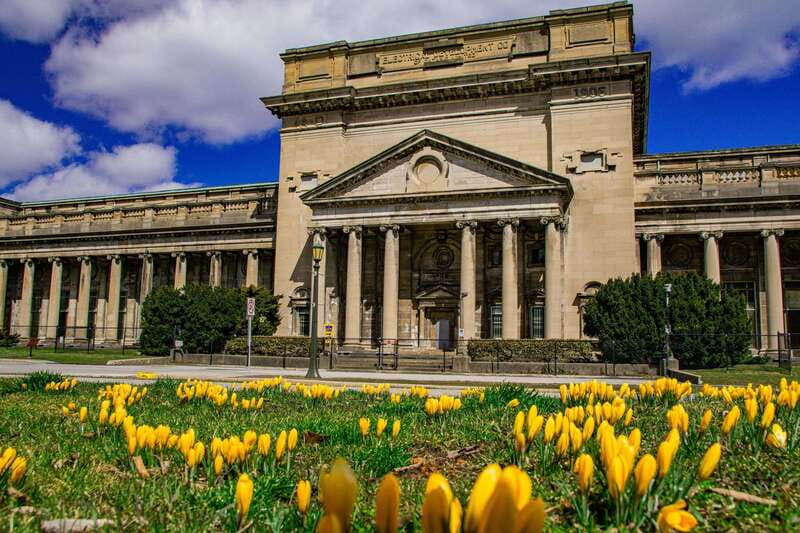 Toronto: Niagara Falls Tour Boat, Tower & Behind the Falls - Final Thoughts