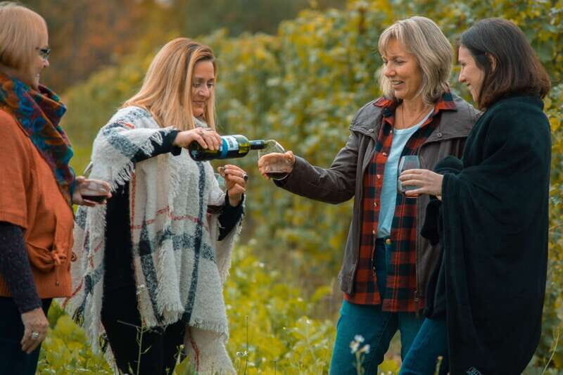 Toronto: Niagara Wineries Tasting Tour & Optional Lunch - The Pros and Cons