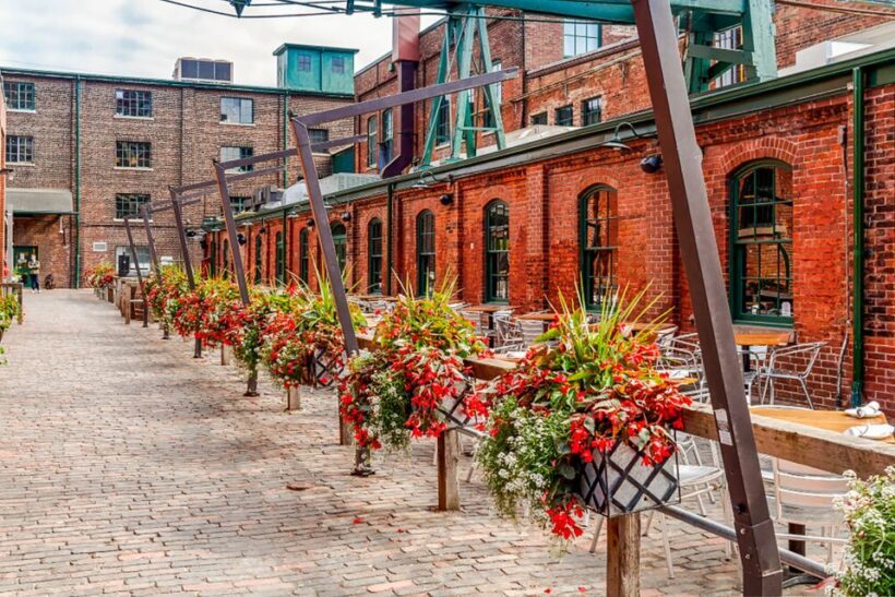 Toronto Premium Night Driving Tour with Tower Entry - Key Points