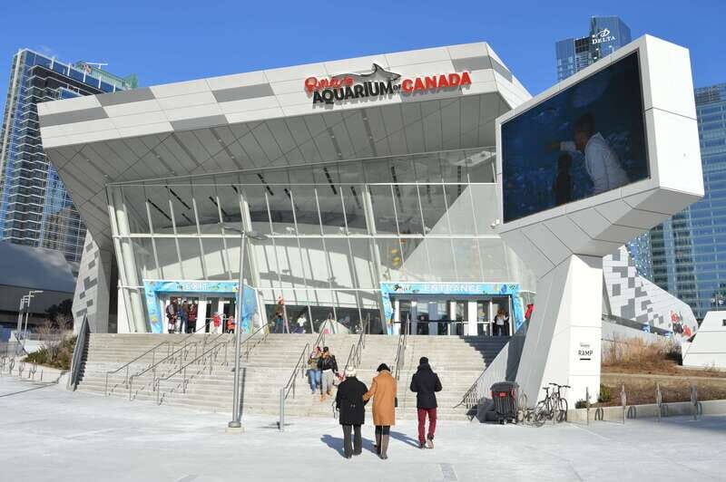 Toronto: Ripley's Aquarium of Canada Entry Ticket - An In-Depth Look at Ripleys Aquarium Experience
