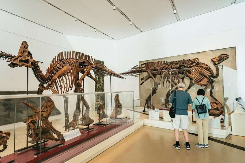Toronto: Royal Ontario Museum Admission Ticket - Authentic Experiences and Practical Tips
