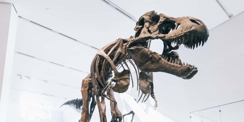 Toronto: Royal Ontario Museum Scavenger Hunt - Toronto: Royal Ontario Museum Scavenger Hunt — A Film Buff’s Treasure Hunt in the Museum