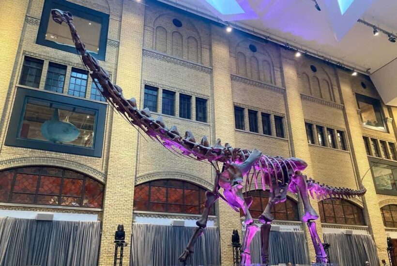 Toronto: Royal Ontario Museum Scavenger Hunt - Key Points