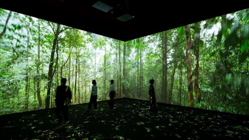 Toronto: Royal Ontario Museum Special Exhibits Voucher - Key Points