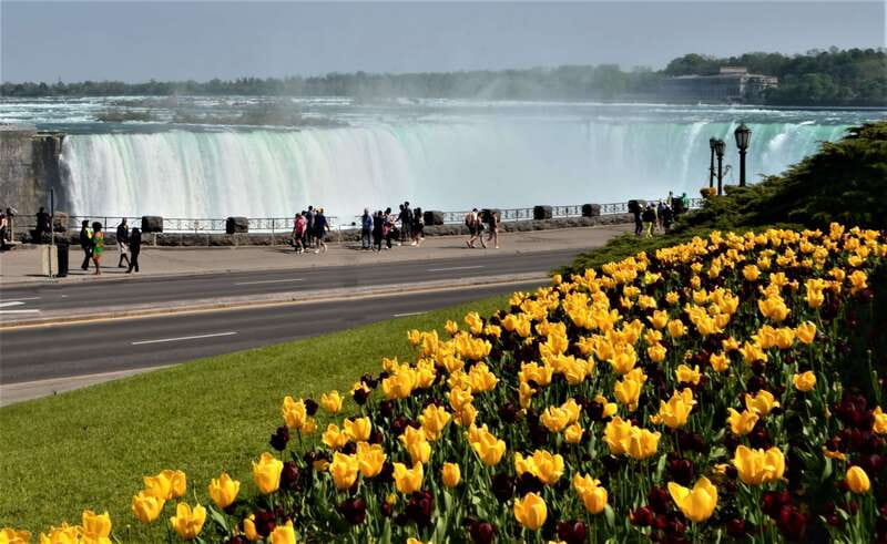 Toronto: Small-Group Niagara Falls Day Trip - What Makes This Tour Stand Out?