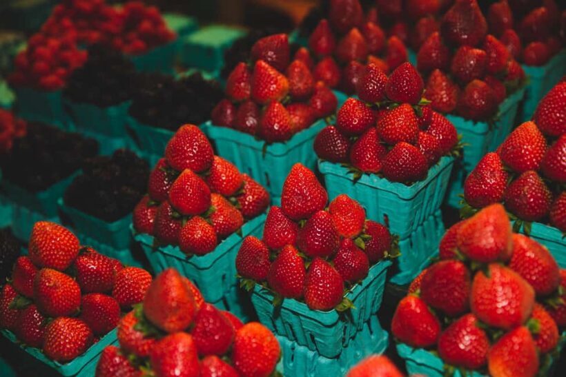 Toronto: St Lawrence Market Food Tour with 6 Tastings - The Sum Up: Is This Tour Worth Your Time?