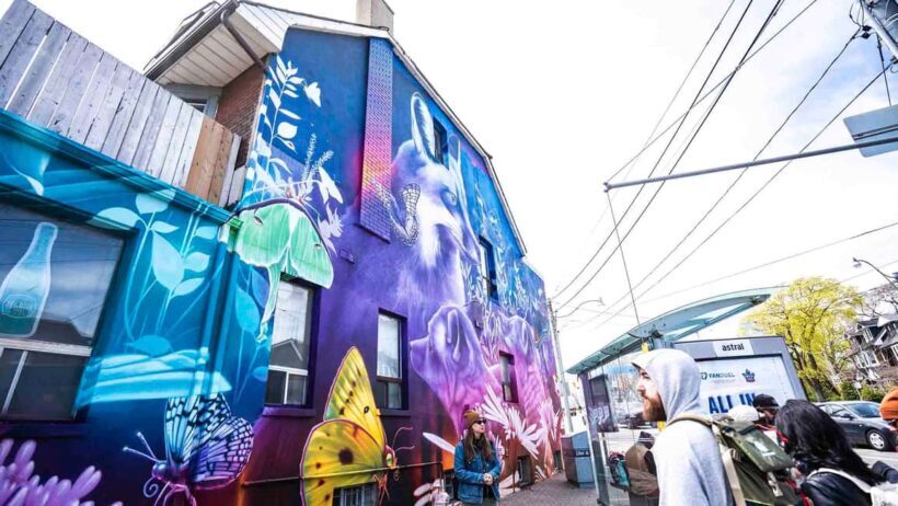 Toronto: Street Art and Graffiti Tour Run by Street Artist - Final Thoughts: Who Will Appreciate This Tour?