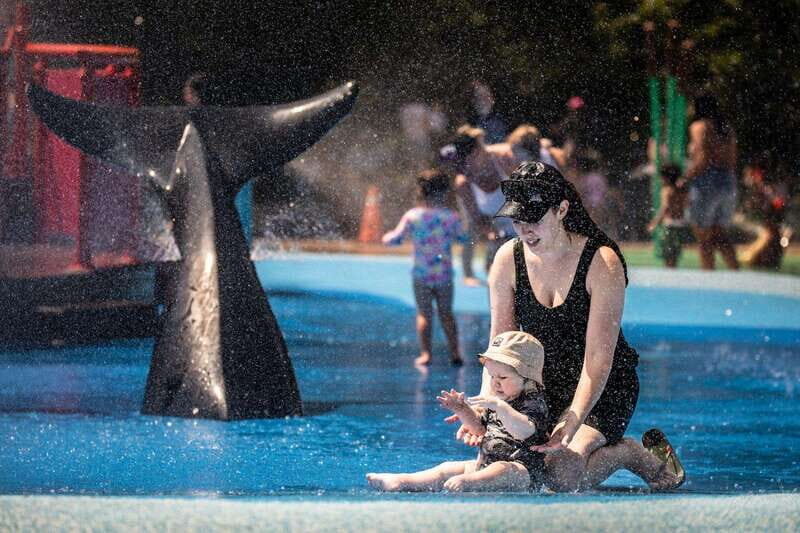 Toronto: Toronto Zoo Entry Ticket - A Detailed Look at the Toronto Zoo Experience