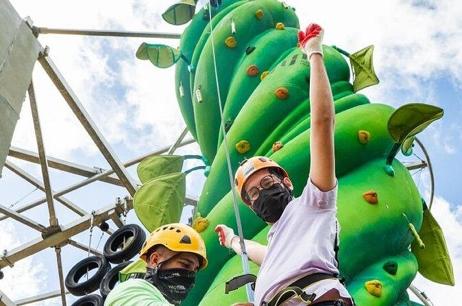 ToroRoller - Pricing and Value