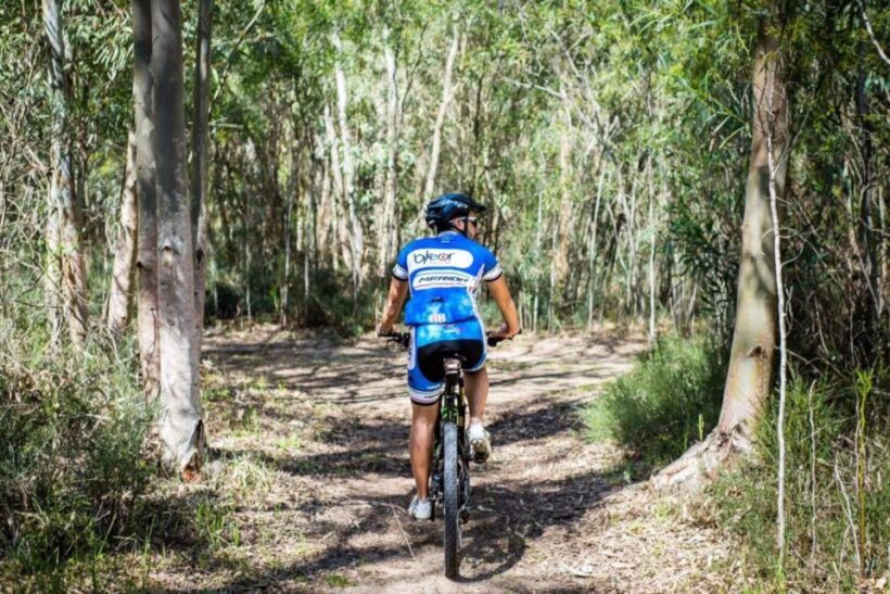 Torregrande marina bike tour - Who Is This Tour Best For?